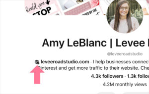 How to Claim a Website on Pinterest • Levee Road Studio